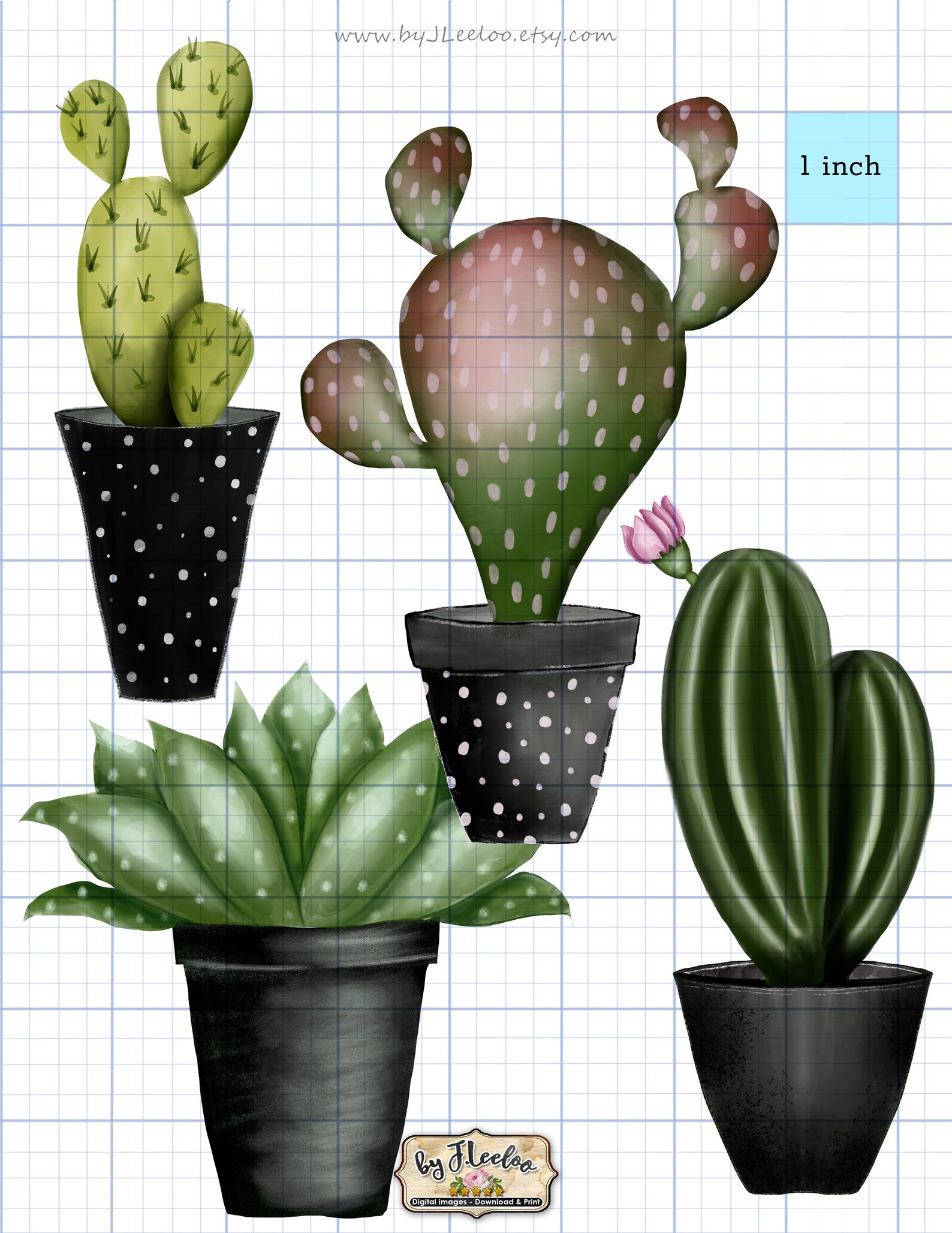 CACTI Hand-drawn Png Jpg Files Digital Collage Sheet for - Etsy