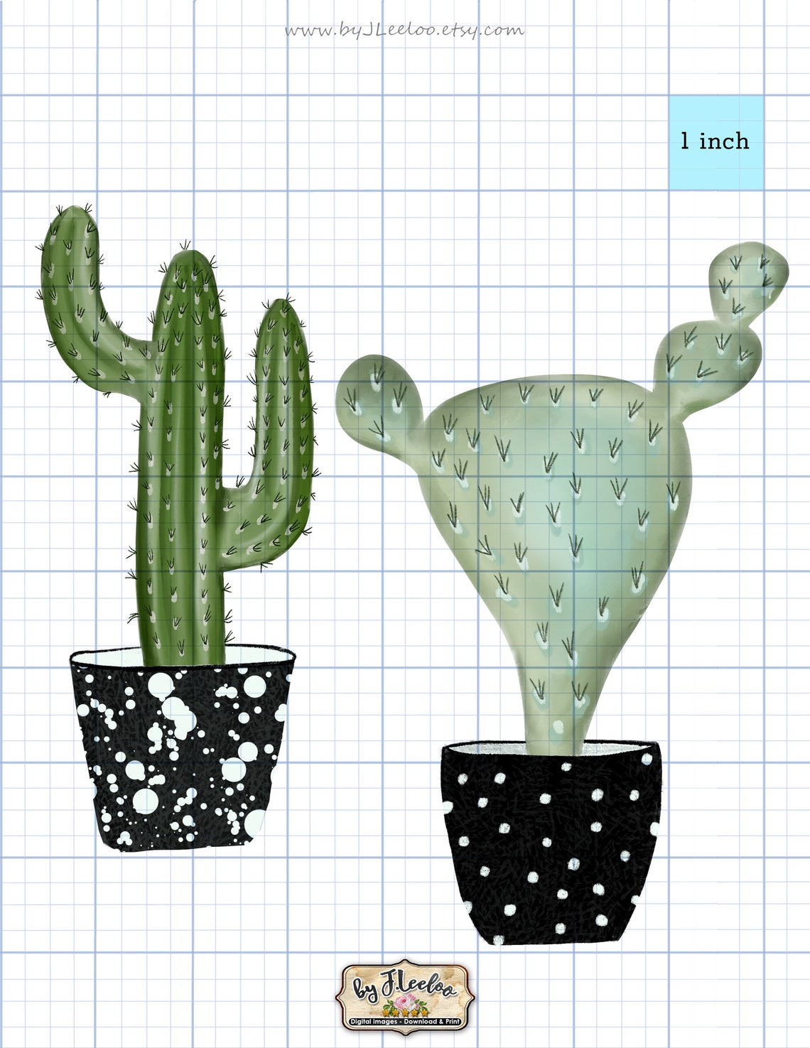 CACTI Hand-drawn Png Jpg Files Digital Collage Sheet for - Etsy