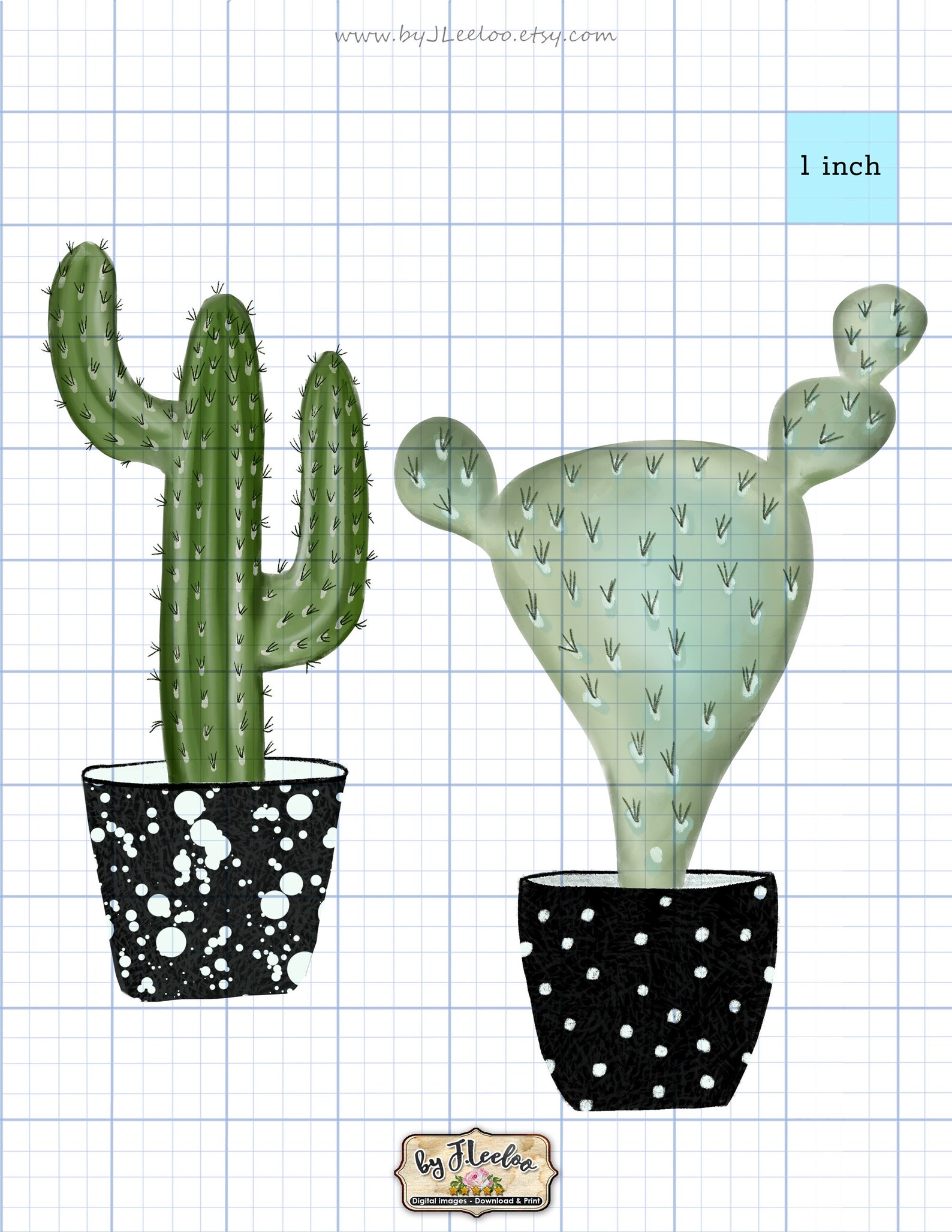 CACTI Hand-drawn Png Jpg Files Digital Collage Sheet for - Etsy