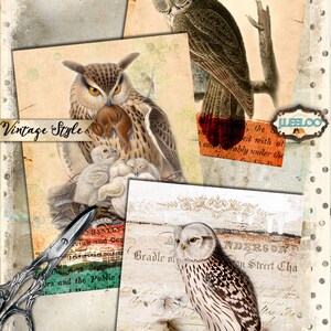 OWLS POSTER 6 Printable Digital Papers - Instant Download for Scrapbook ...