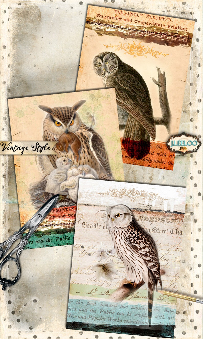 OWLS POSTER 6 Printable Digital Papers Instant Download for - Etsy