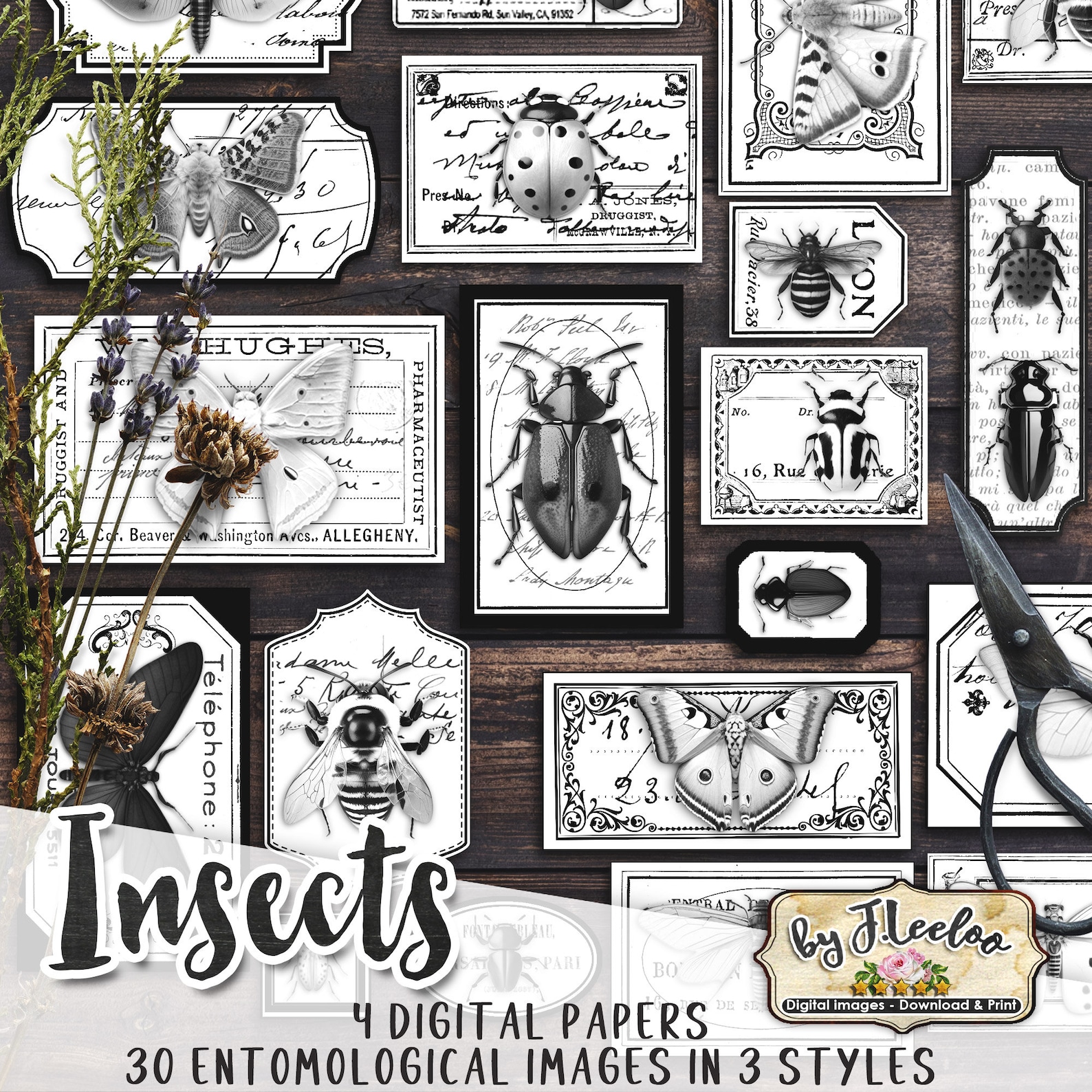 INSECTS Entomology Labels Kit Printable Vintage Ephemera Butterfly ...