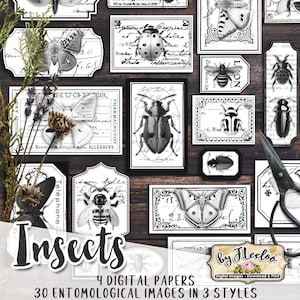 INSECTS Entomology Labels Kit Printable Vintage Ephemera Butterfly ...