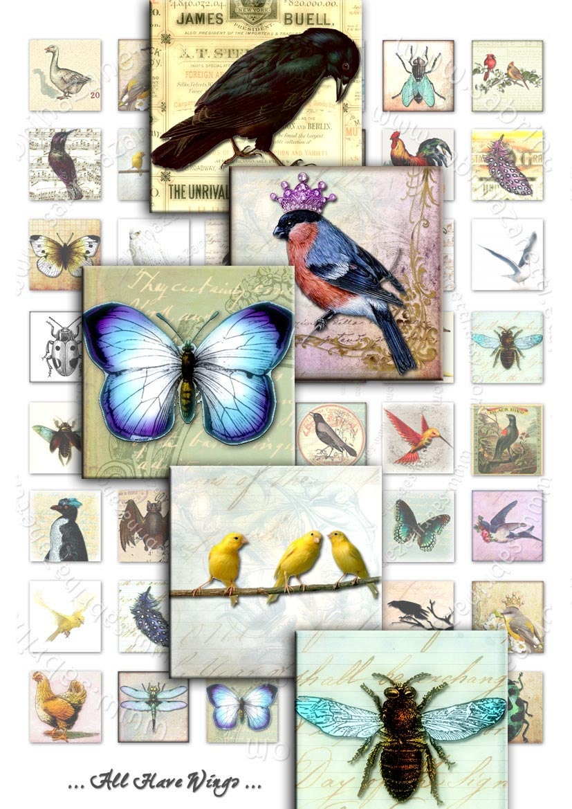 Digital Collage Sheet ALL HAVE WINGS 1x1 Square Bee Crown Bird - Etsy