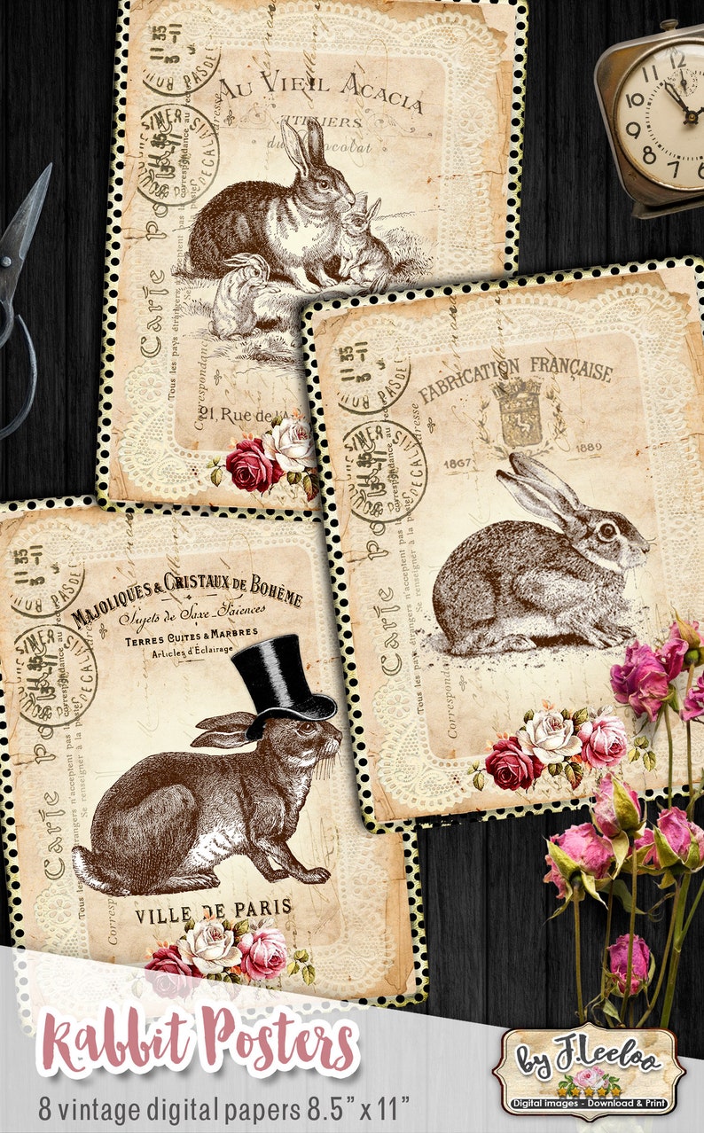 RABBIT POSTER Vintage 8.5x11 Inch Wall Decor Journal Background ...
