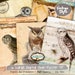 OWLS POSTER 6 Printable Digital Papers - Instant Download for Scrapbook ...