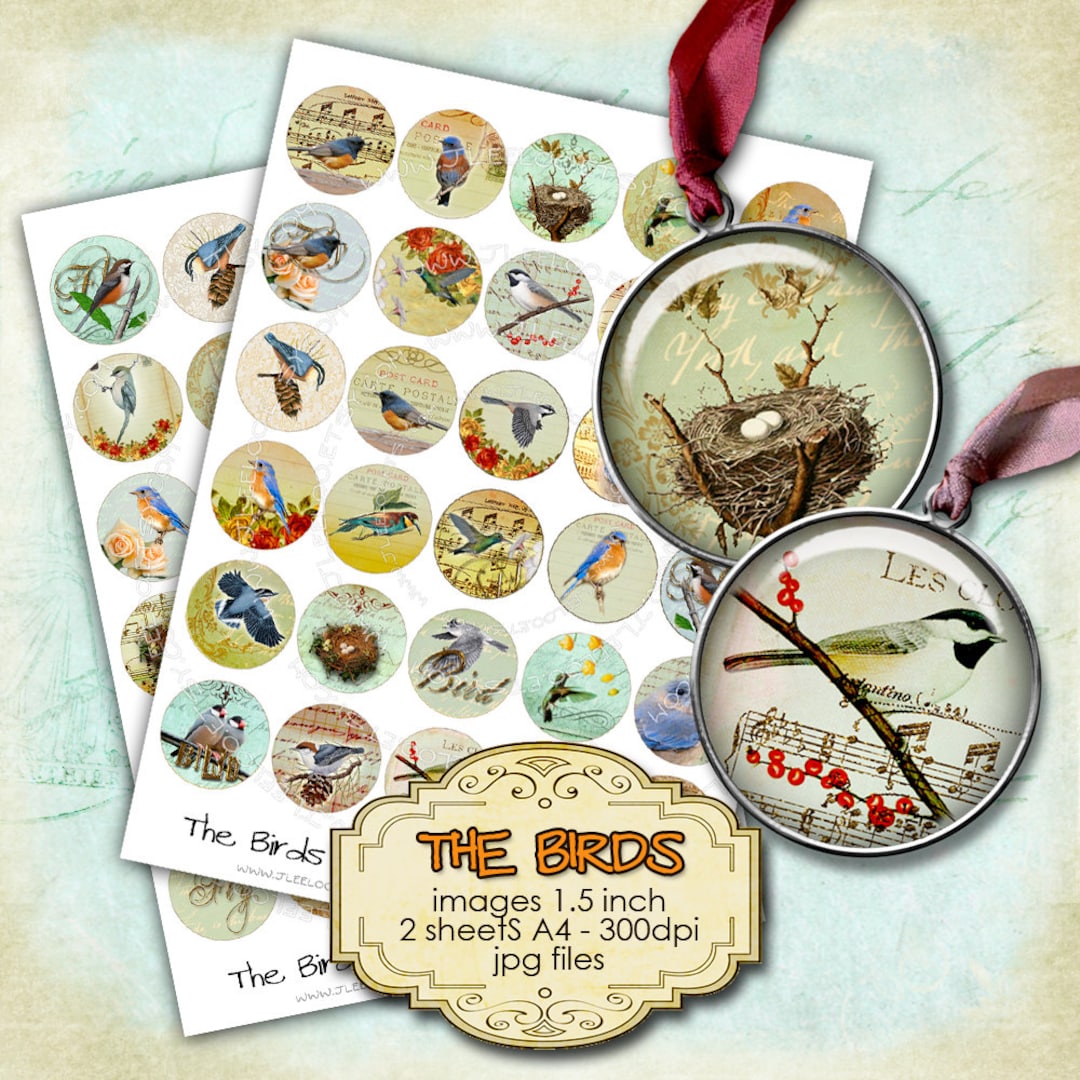 Digital Printable THE BIRDS 1.5 Inch Circle Sheets Nest Eggs Vintage ...