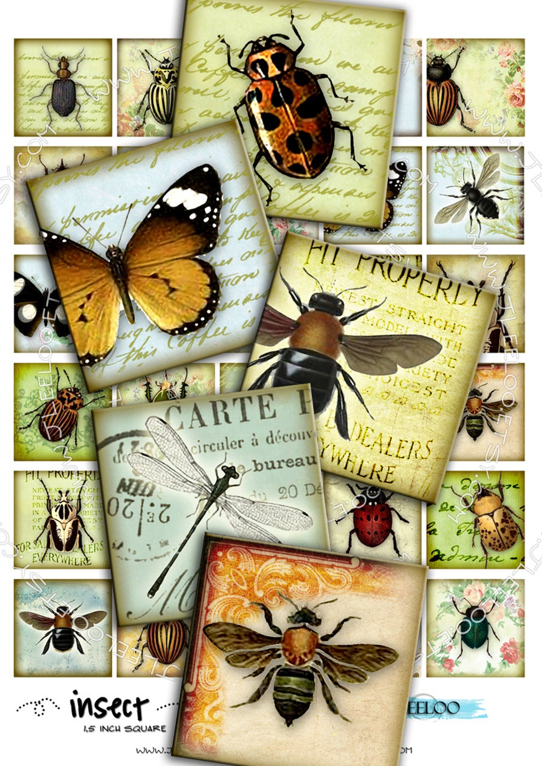 Digital Paper INSECT 1.5 Inch Square Butterfly Ladybug Coleoptera ...