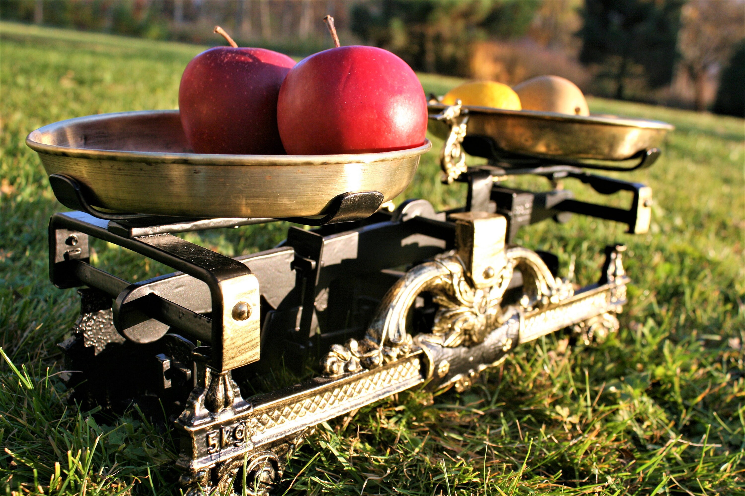 1930s 5kg Antique Scale Soviet Market Scales Office Decor - Etsy