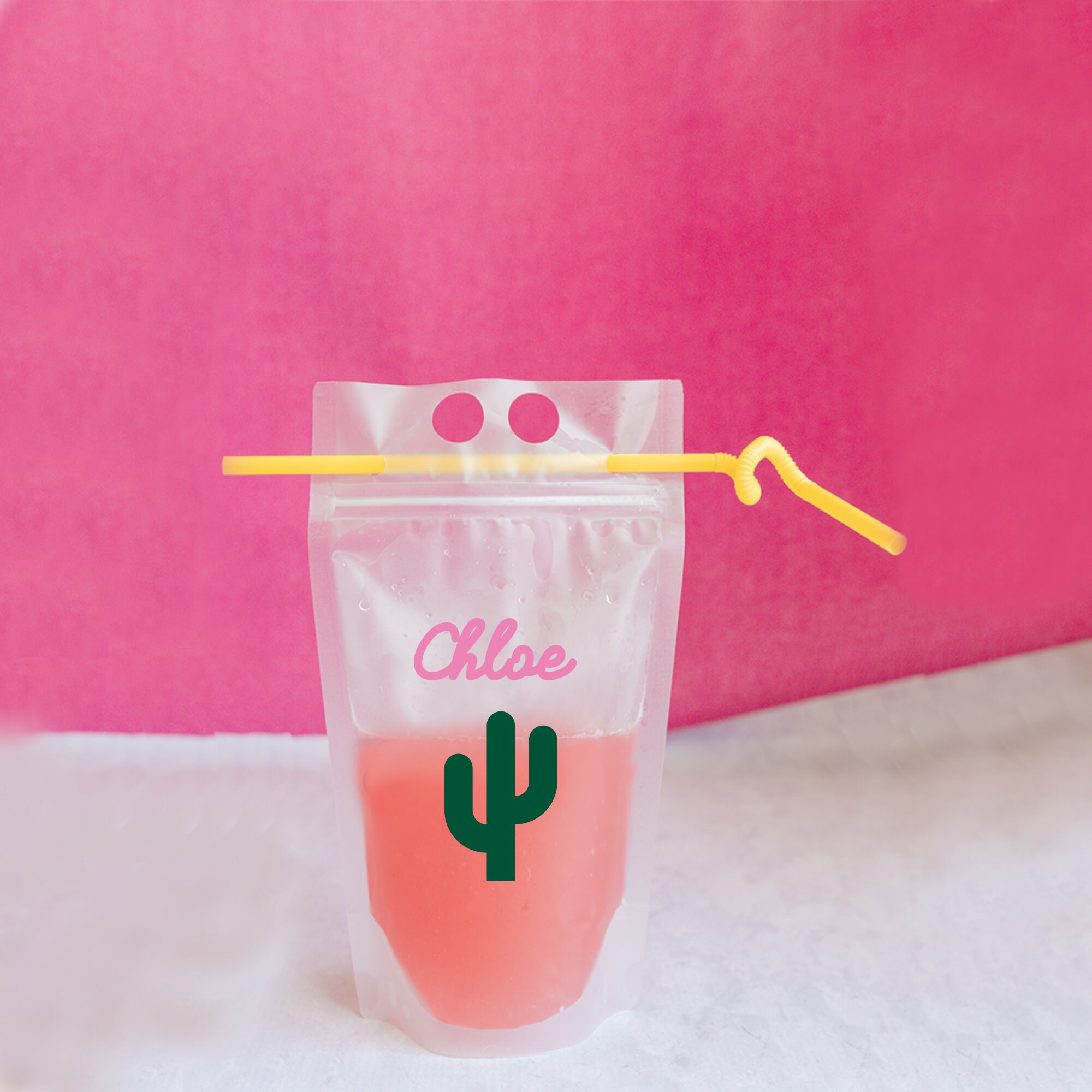 Cactus Party Pouch Party Pouches Booze Bags Drink | Etsy