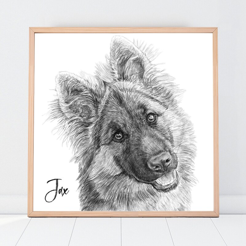 Custom Pet Drawing - Etsy