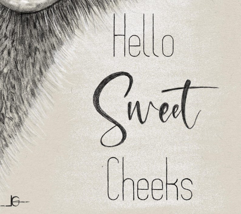 Funny Ostrich Pencil Drawing | Hello Sweet Cheeks, Vintage Bathroom Art ...