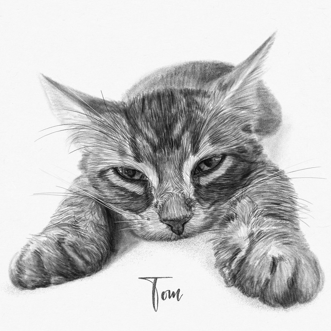 Custom Cat Portrait Drawing From Photo / Personalized Cat Lover Gift ...