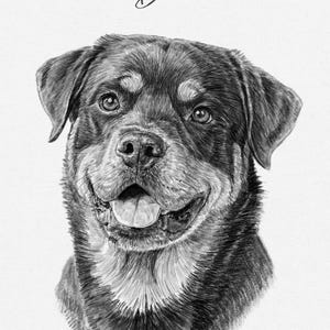 Custom Pet Portrait From Photo – Hand Drawn Pencil Dog & Cat ...