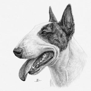 Custom Pet Portrait From Photo – Hand Drawn Pencil Dog & Cat ...