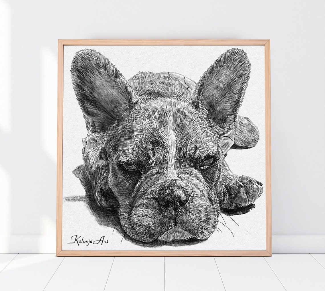Custom Dog Drawing Custom Cat Drawing Custom Pencil Drawing - Etsy