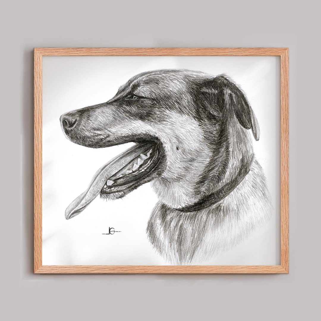 Custom Pet Portrait From Photo – Hand Drawn Pencil Dog & Cat ...