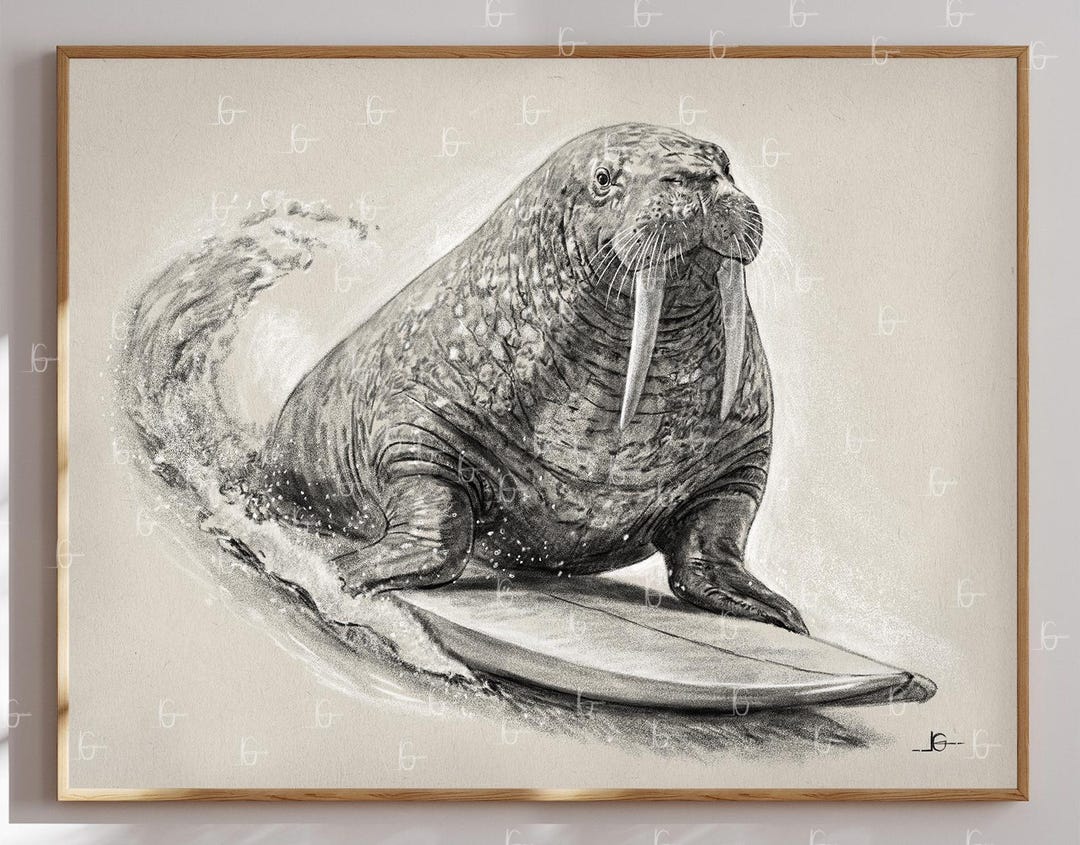 Surfing Walrus Art Print – Vintage Marine Pencil Drawing (digital ...