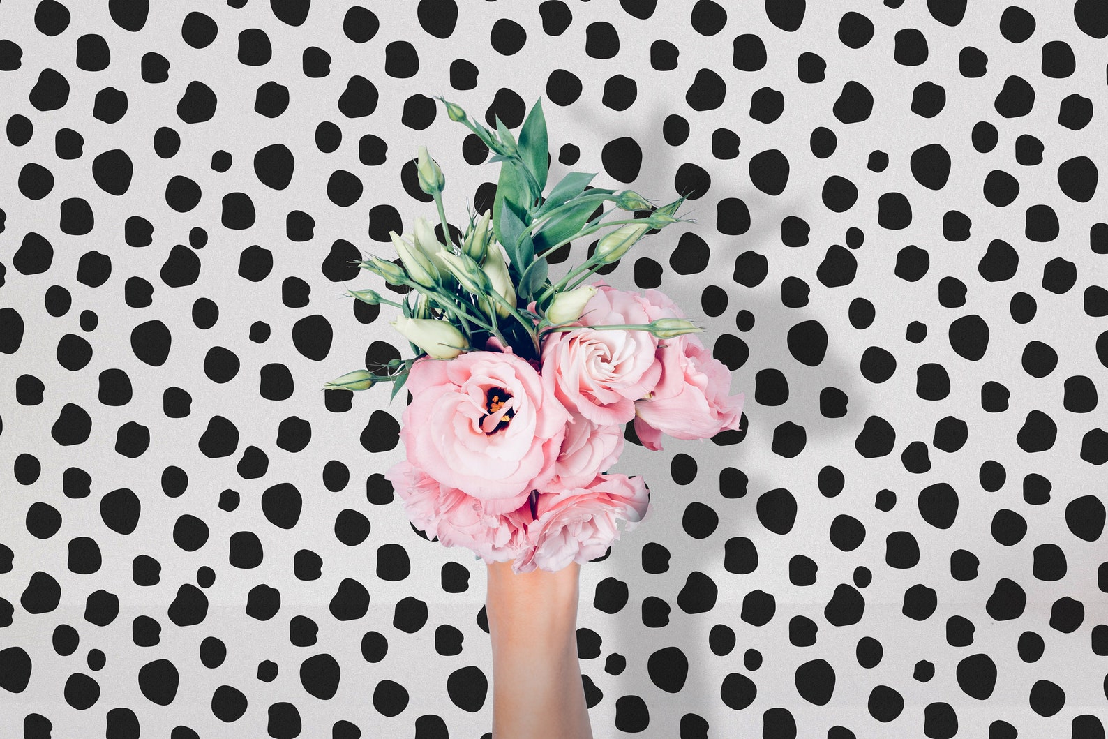 Hand Drawn Polka Dot Sticker Decals Polka Dots Matt Black - Etsy