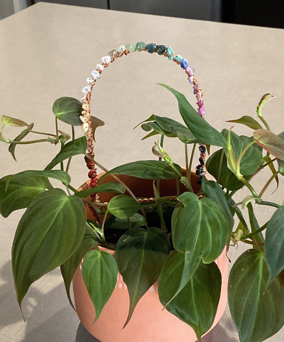 Plant Trellis Arch Rainbow Plant Trellis Gemstone Support Rainbow Pole ...