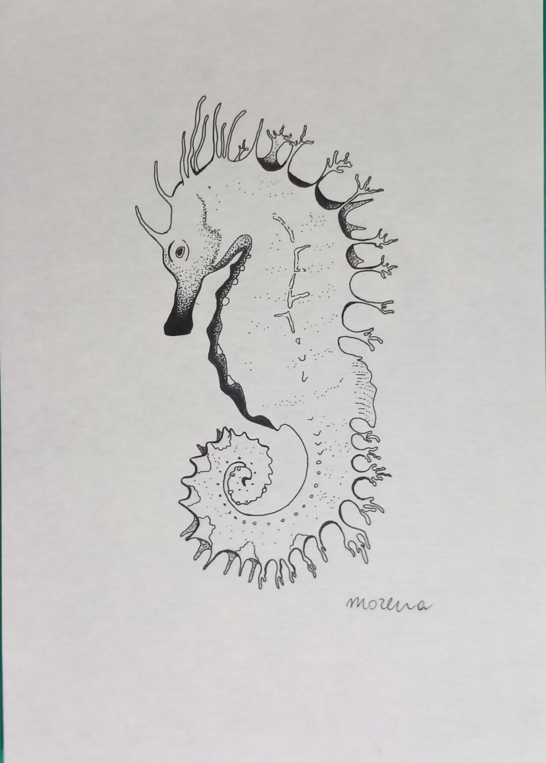 Animal Poster Drawing, Hippocampus, Hand Drawn Illustration, Ink on ...