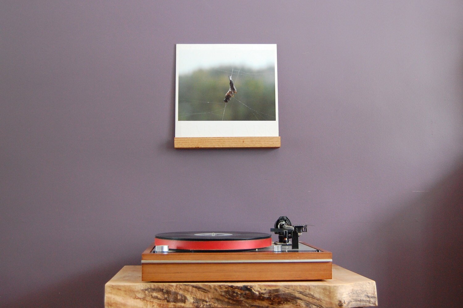 Beautiful Wall Mounted LP Holder Floating Record Shelf | Etsy