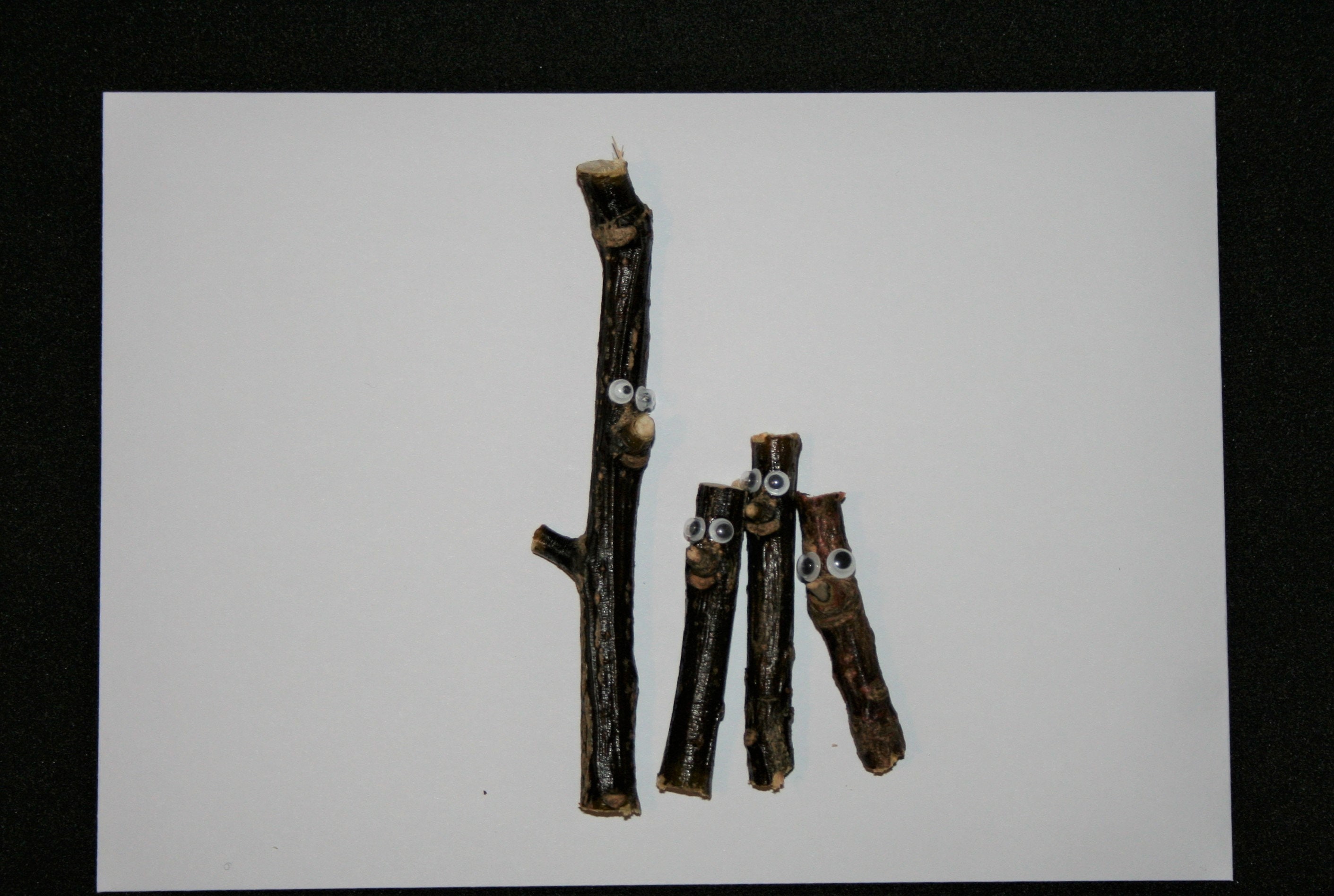 Stick Family From a Small Branch of the Family Tree Joke - Etsy UK