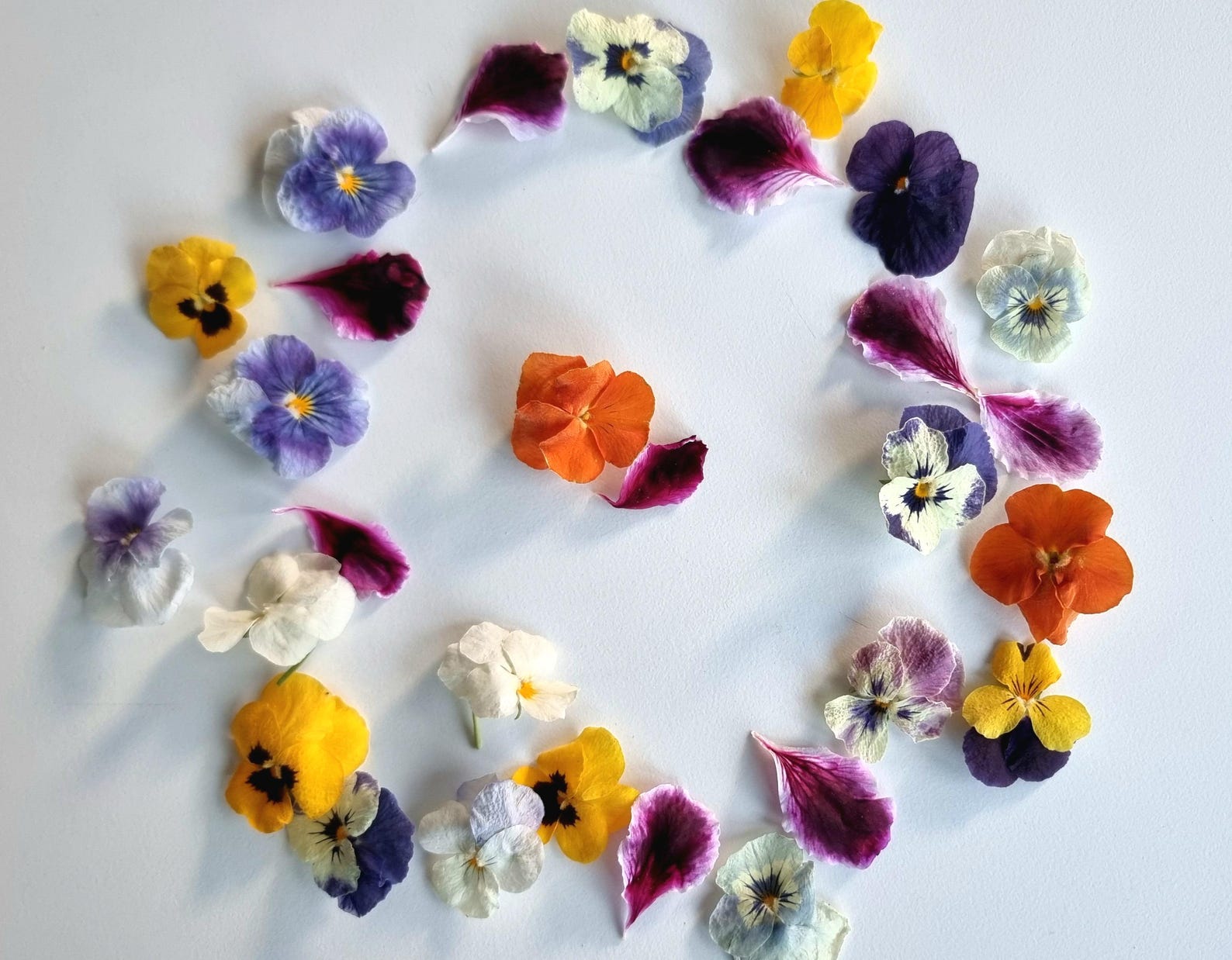 60 Edible Freeze-dried Pansies: Organic Cake & Drink Toppers - Etsy