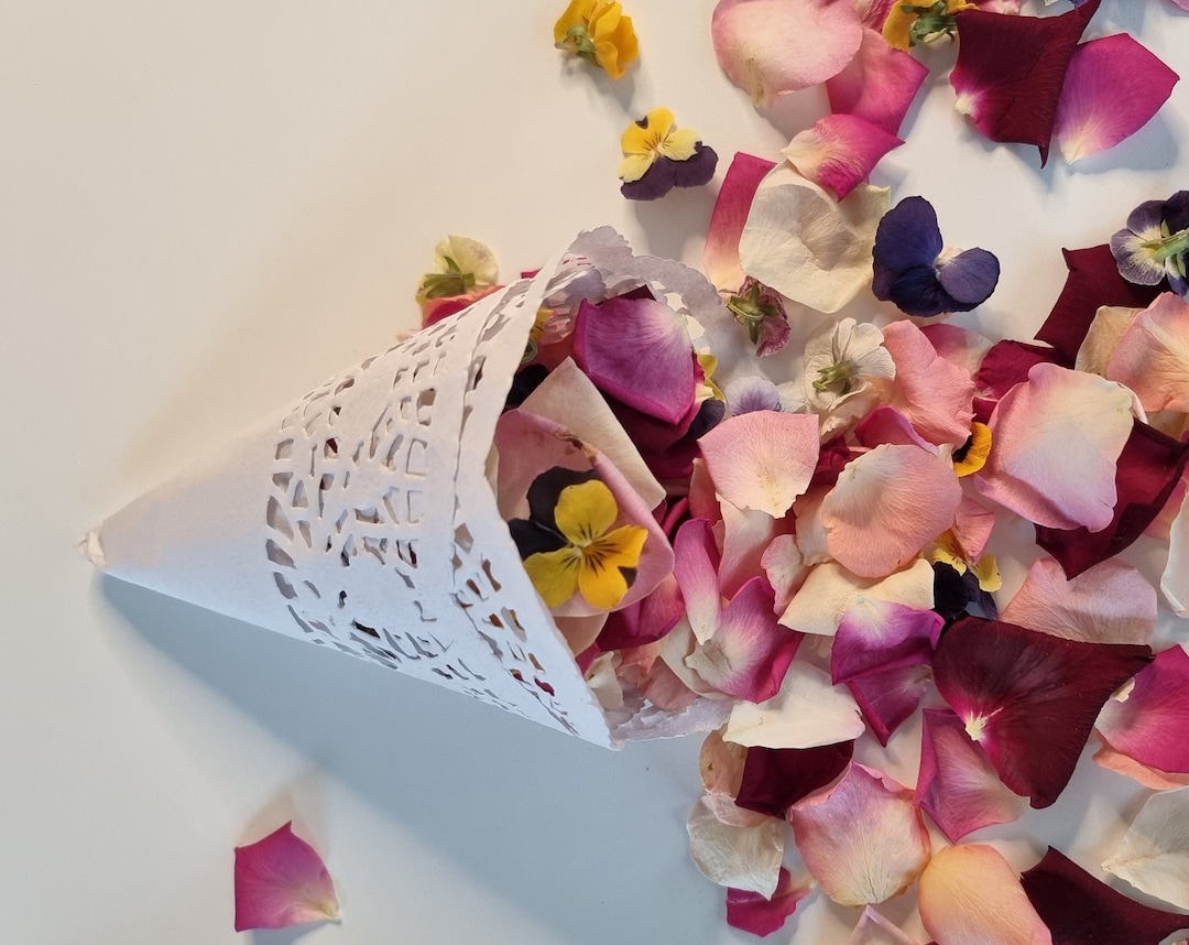 10 Pcs Wedding Confetti Cones With Lovely Freeze-dried Rose Petals and ...