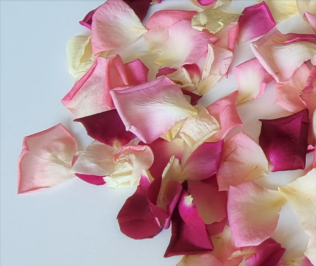 SALE!! Freeze-dried Rose Petals. 5 Cups of NATURAL Rose Petals. Color ...