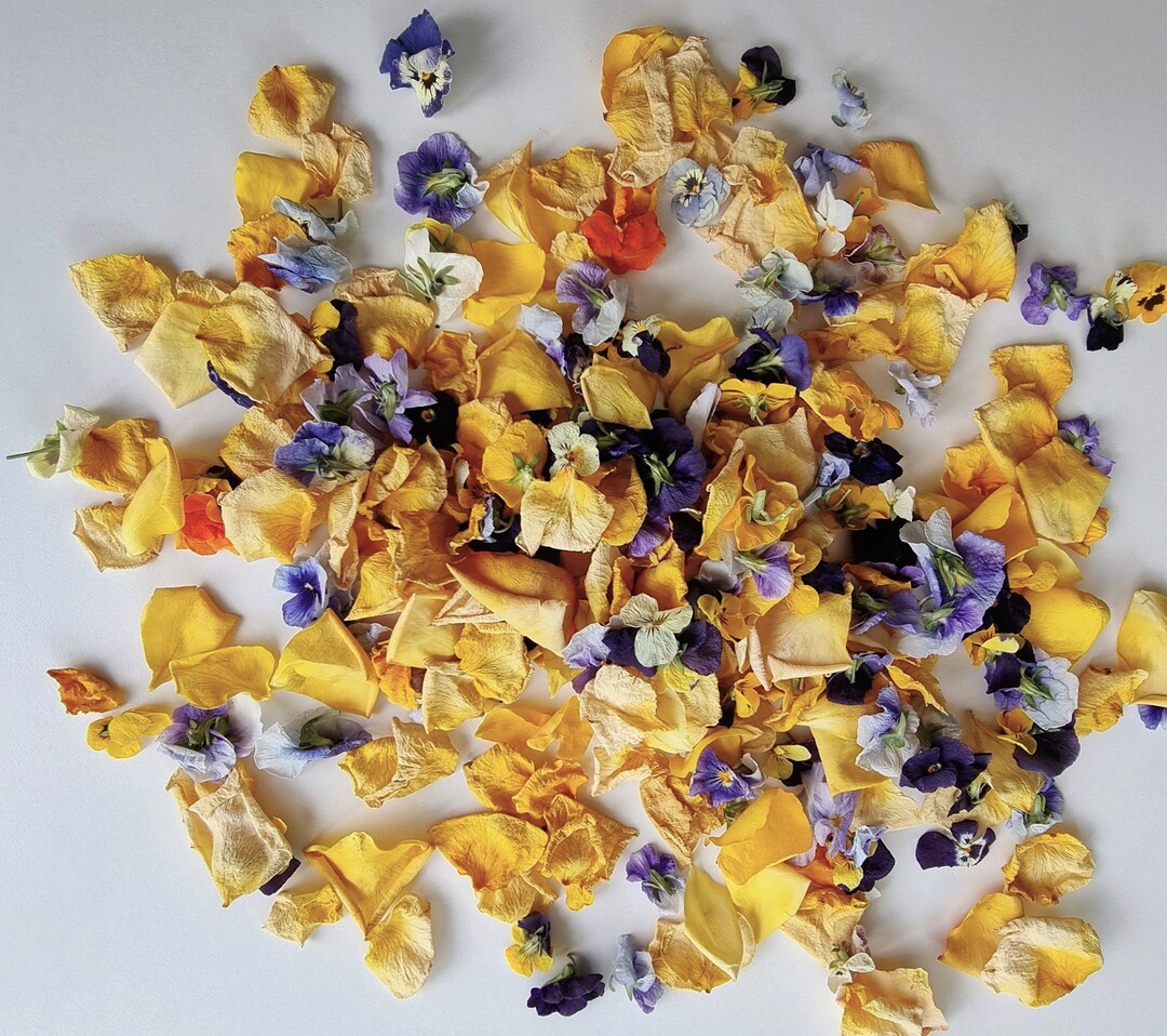 Yellow Dried Rose Petals + Dried Pansies. Natural, Biodegradable ...