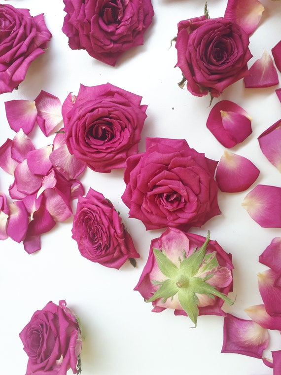 Freeze-dried Rose Heads. Lovely for Decoration in Many Ways . - Etsy