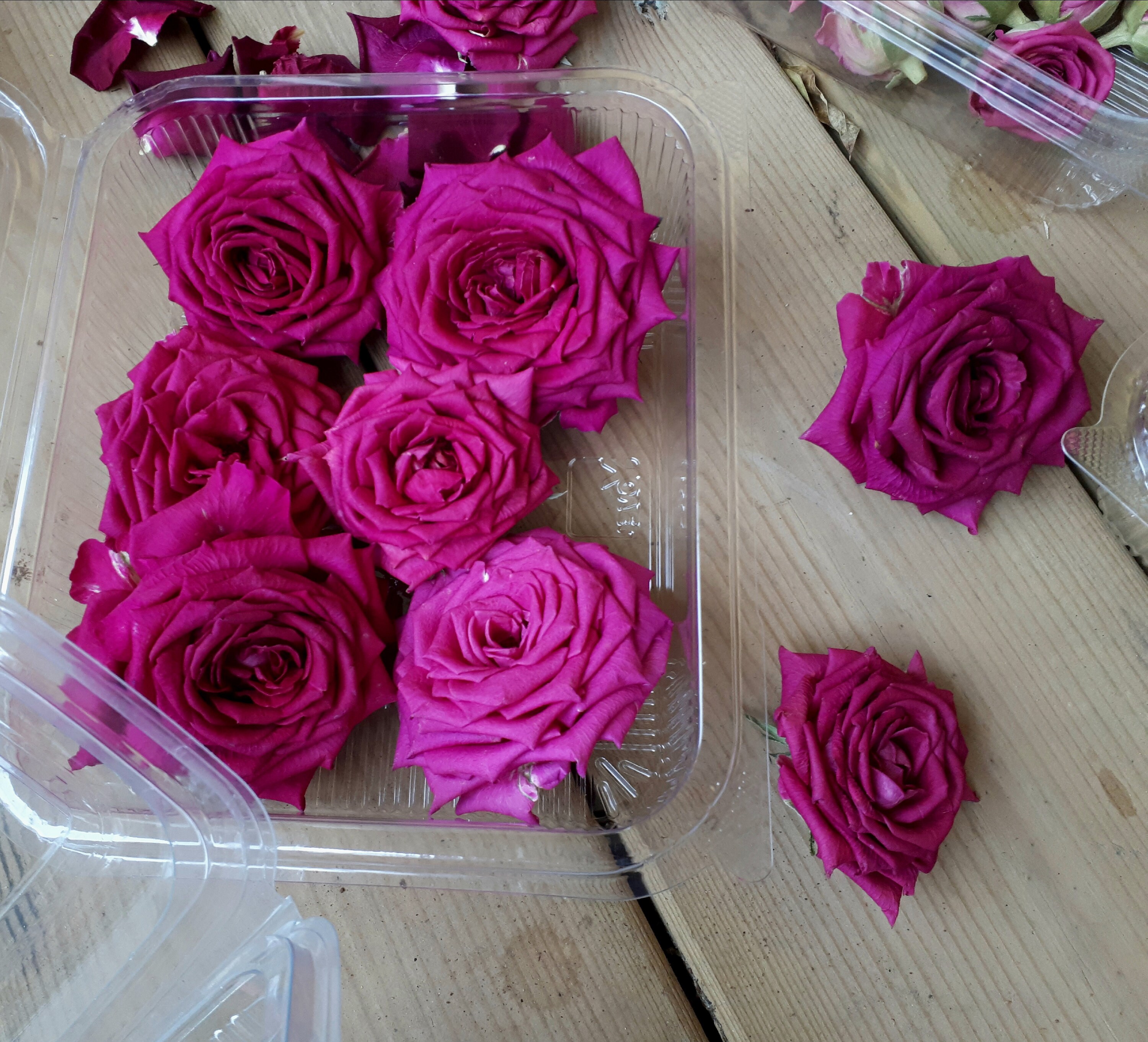 Freeze-dried Rose Heads. Lovely for Decoration in Many Ways . - Etsy