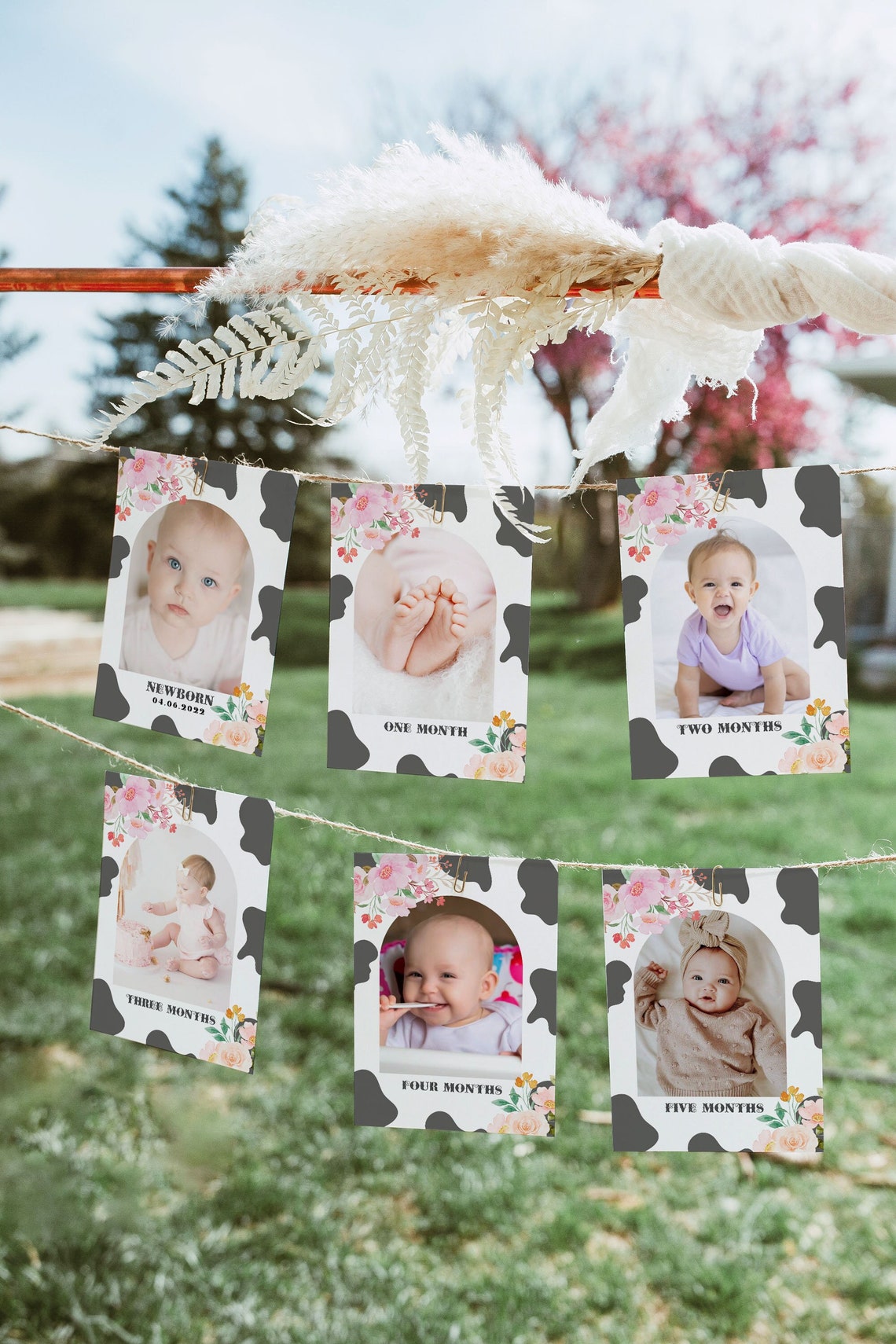 Cow First Year Photo Banner, Holy Cow I'm One! Birthday Monthly Photo ...
