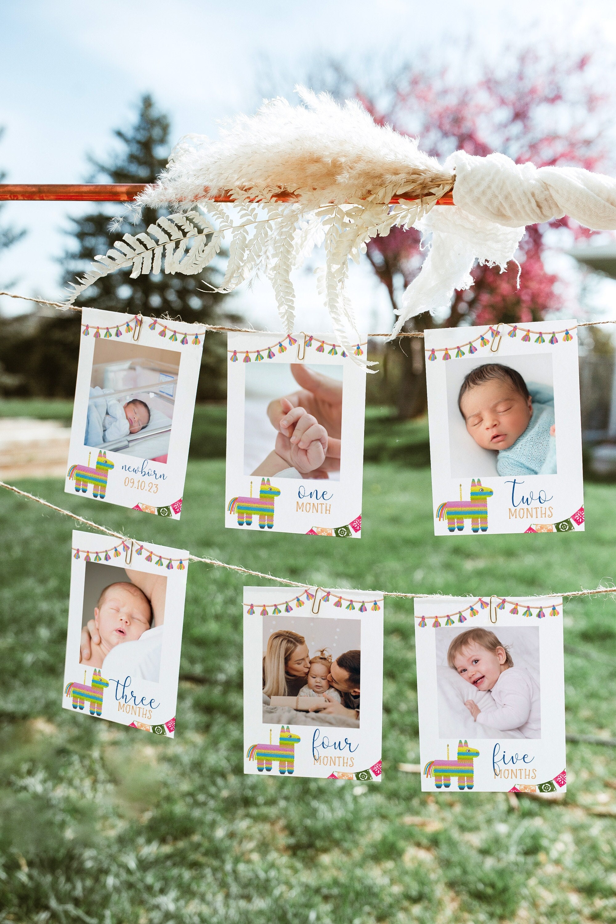 First Fiesta Monthly Banner Template First Birthday Fiesta - Etsy
