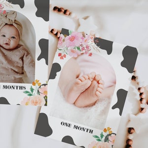 Cow First Year Photo Banner, Holy Cow I'm One! Birthday Monthly Photo ...