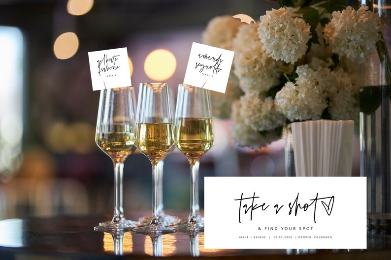 ELLIA Shot Glass Seating Chart Template Champagne Seating - Etsy