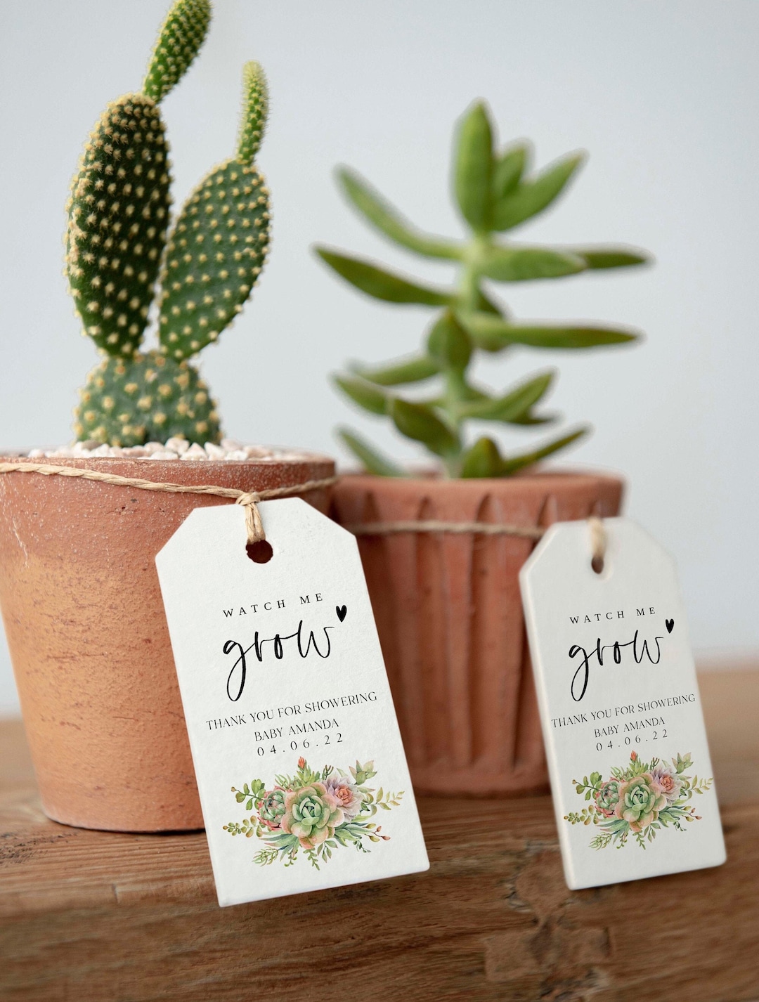 Watch Me Grow Tags, Succulent Tags, Baby Shower Favor Tags, Editable ...
