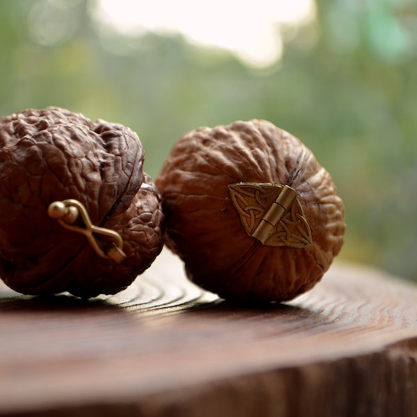 Shell Ring Box - Etsy
