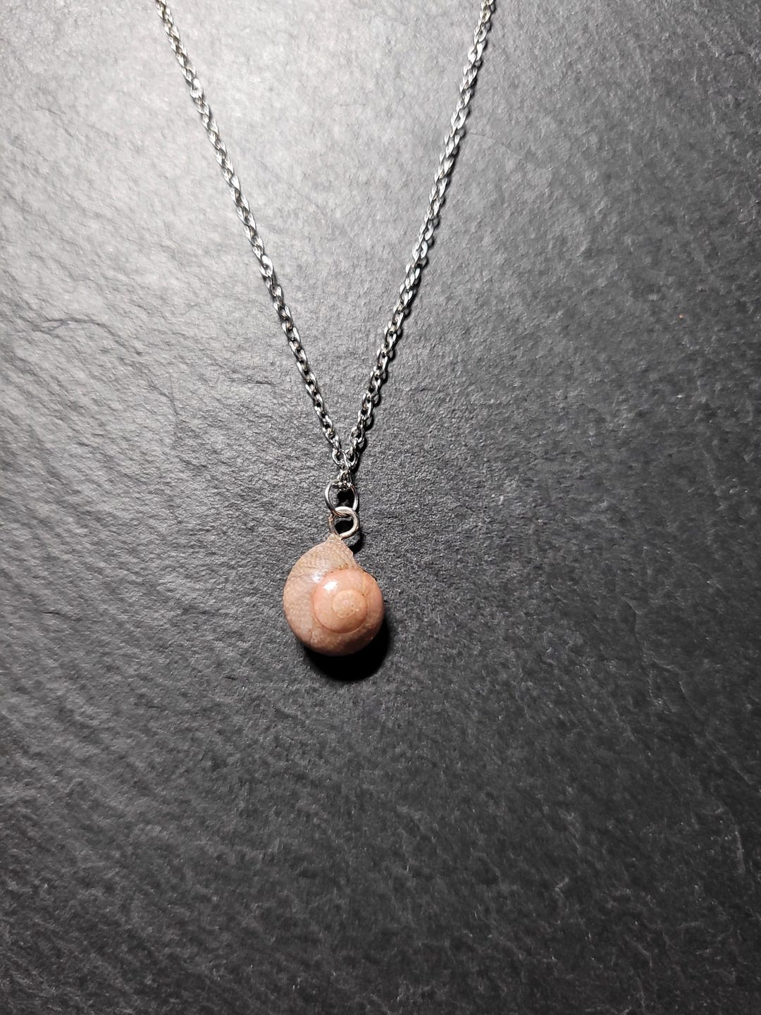 Real Shell Necklace, Real, Sea Shell, Pendant, Necklace, Chain ...