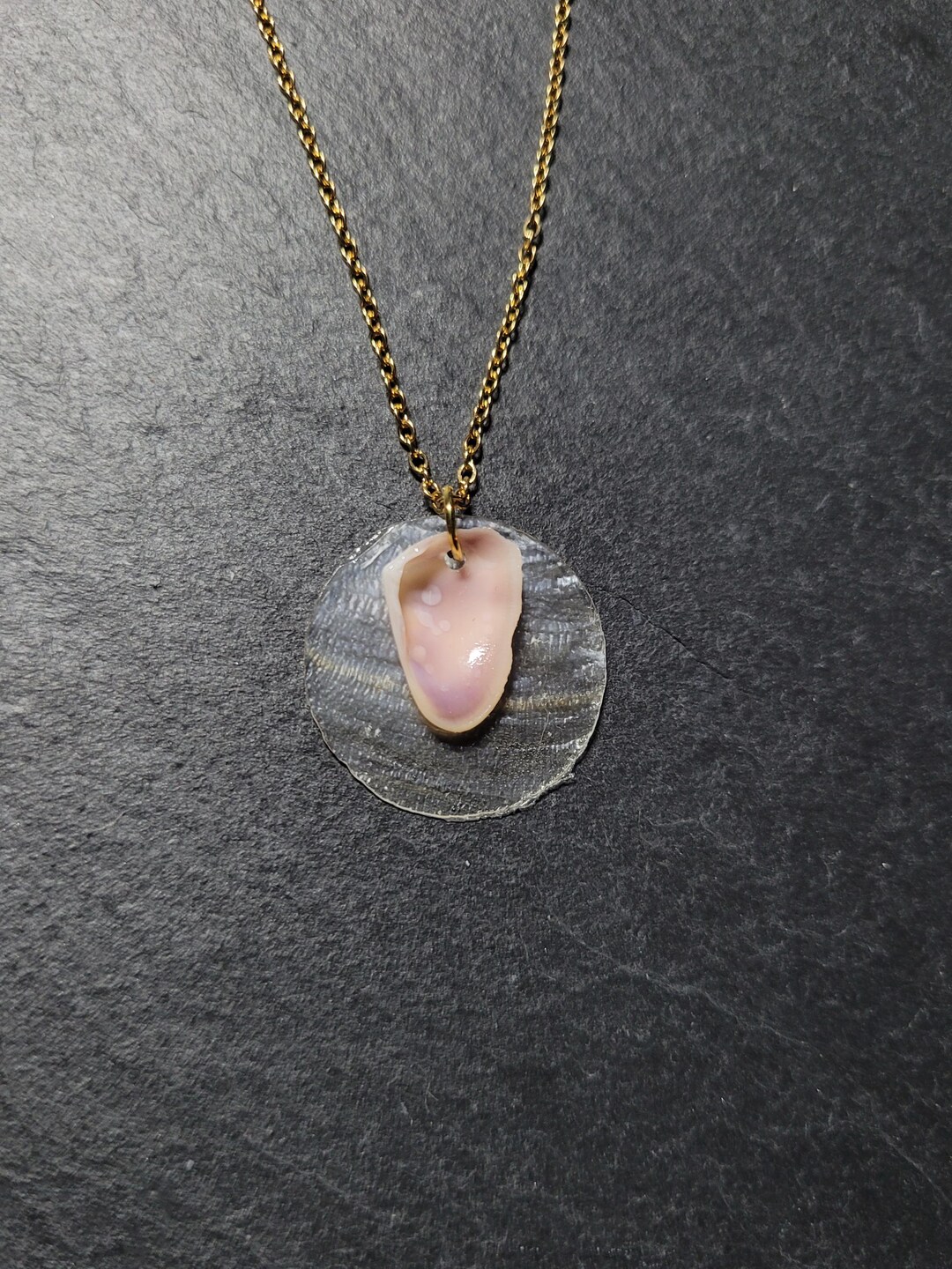 Real Shell Necklace, Sand Dollar, Shells, Sea Shell, Pendant, Chain ...