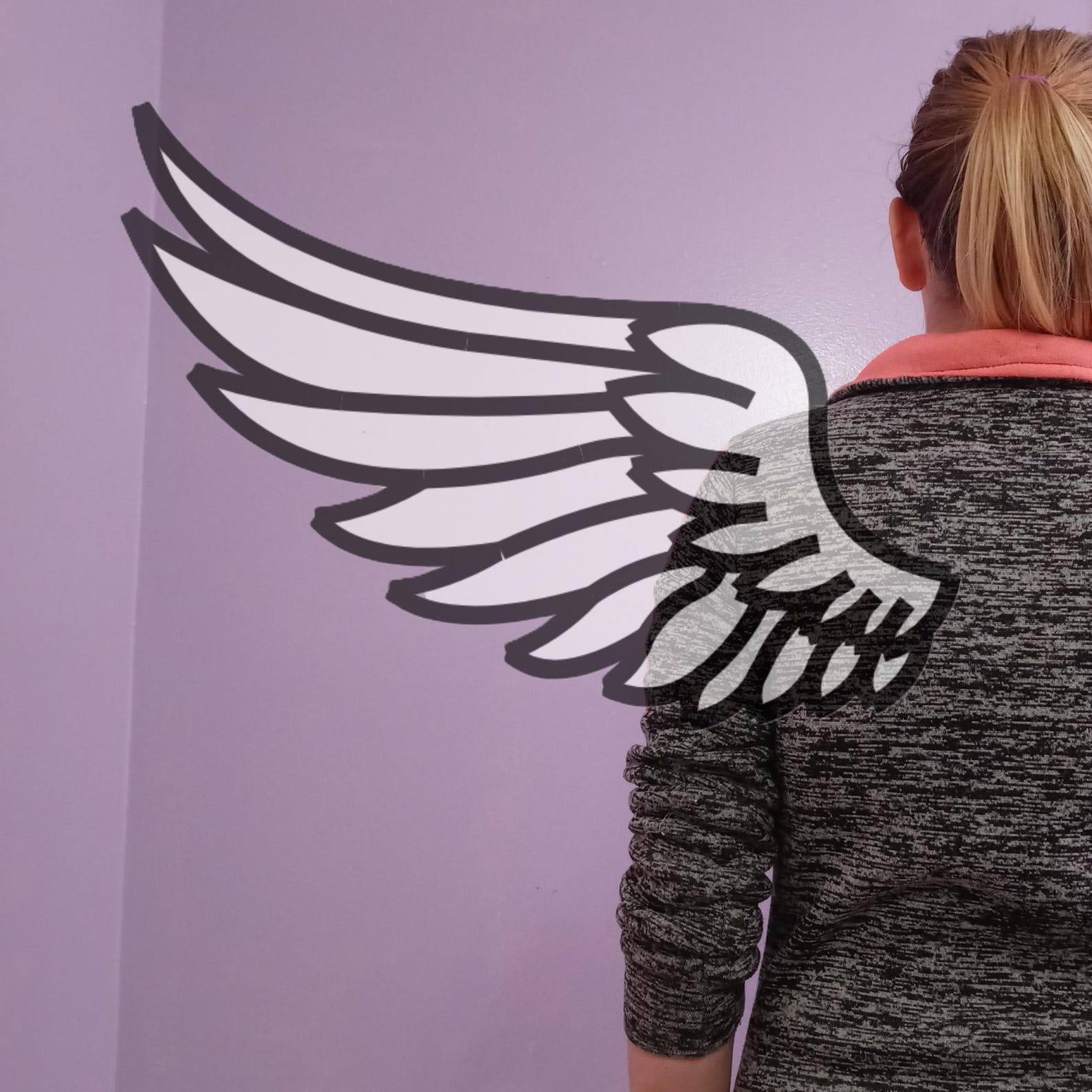 Feathered Wings 2D Blueprint Collection - Included 5 Designs - Template ...