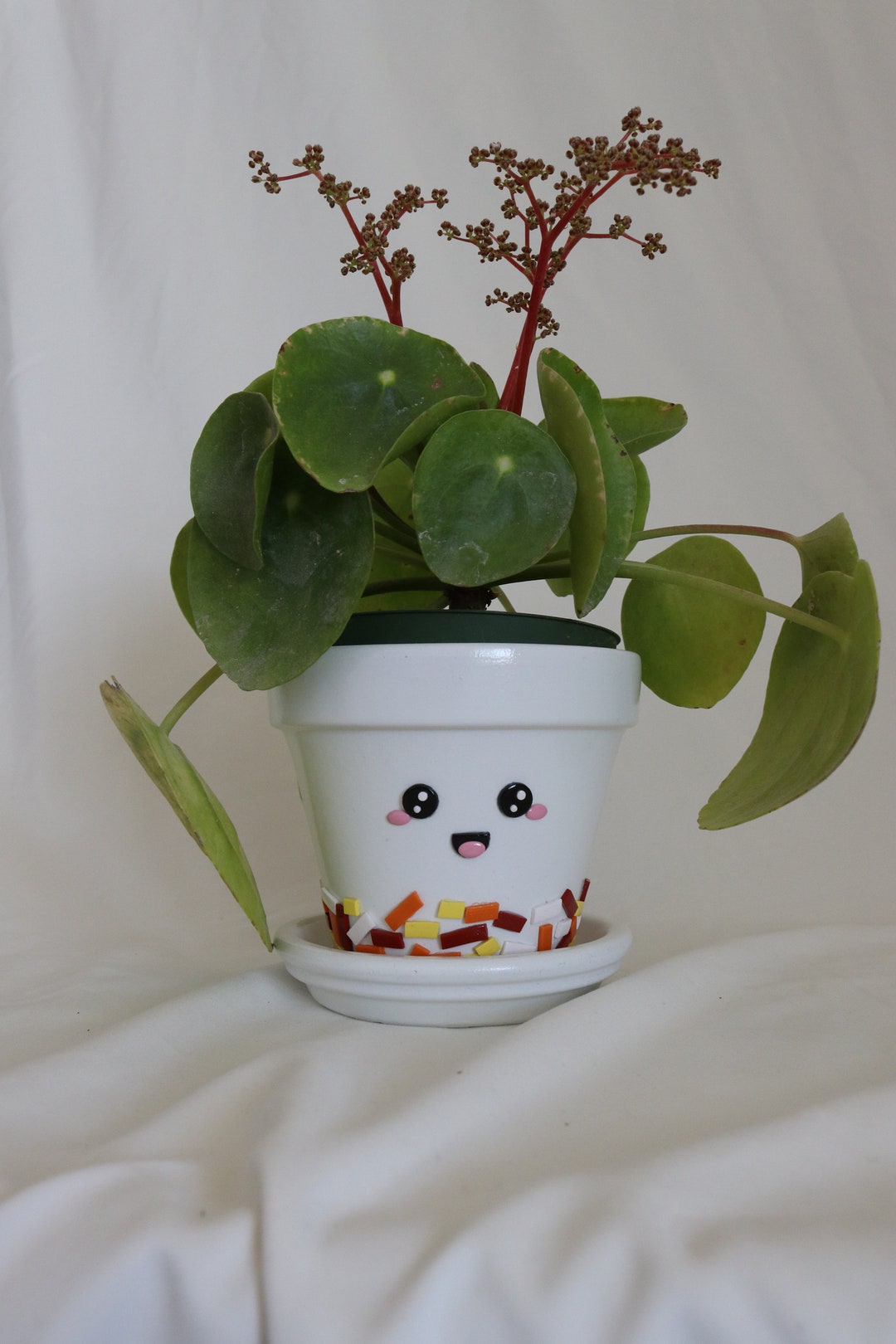 Boba Tea Plant Pot | Coconut Milk Tea With Rainbow Jelly Clay Planter ...