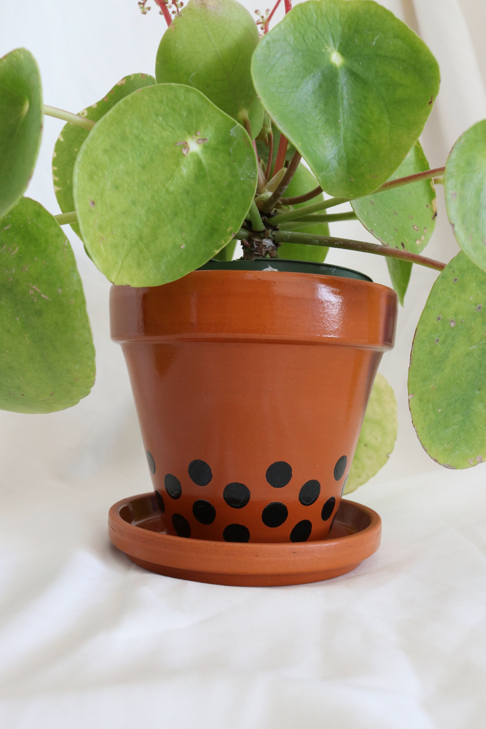 Boba Tea Plant Pot | Thai Tea Clay Planter Pot | Cute 4 Inch Plant Pot ...