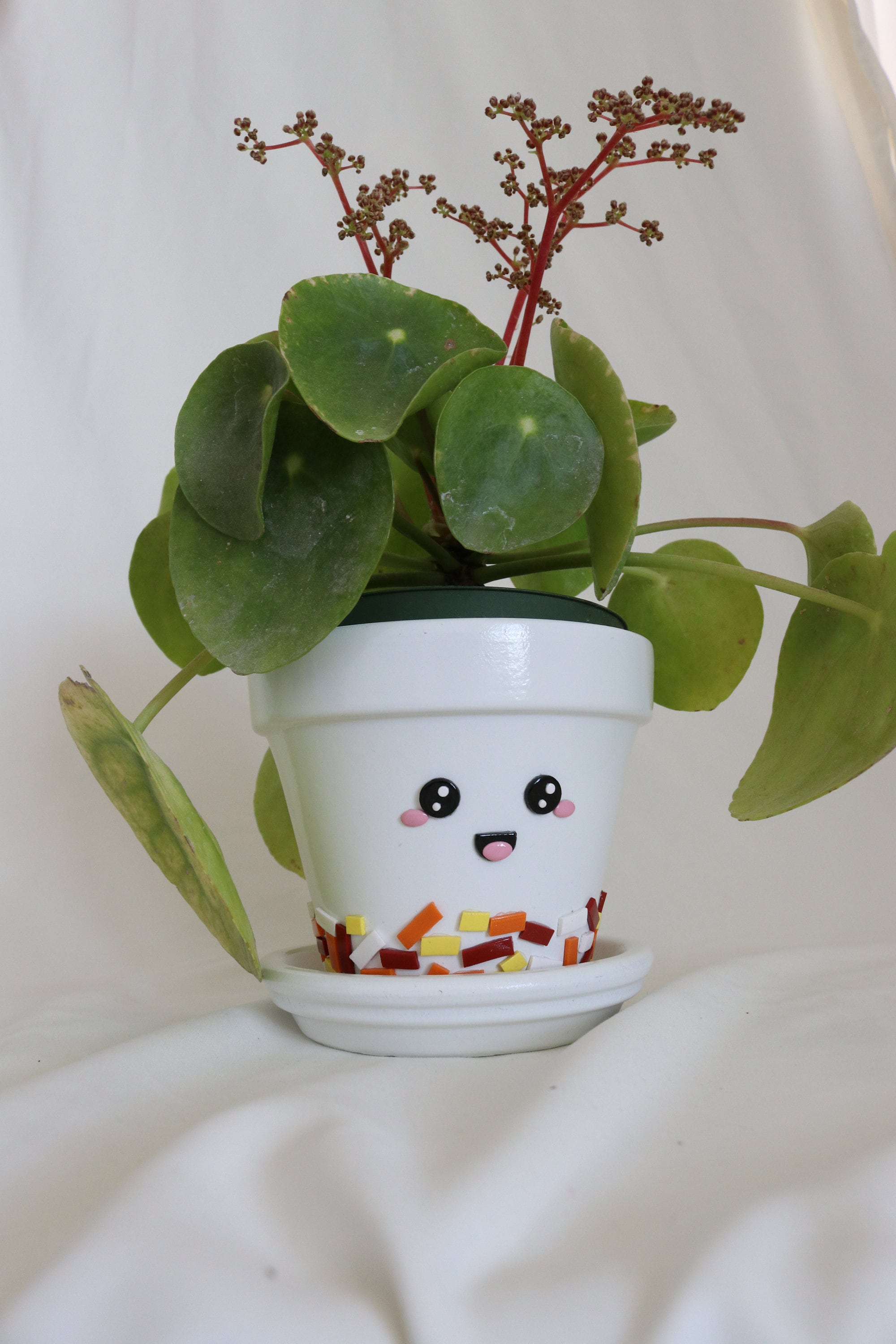 Boba Tea Plant Pot Coconut Milk Tea with Rainbow Jelly Clay | Etsy