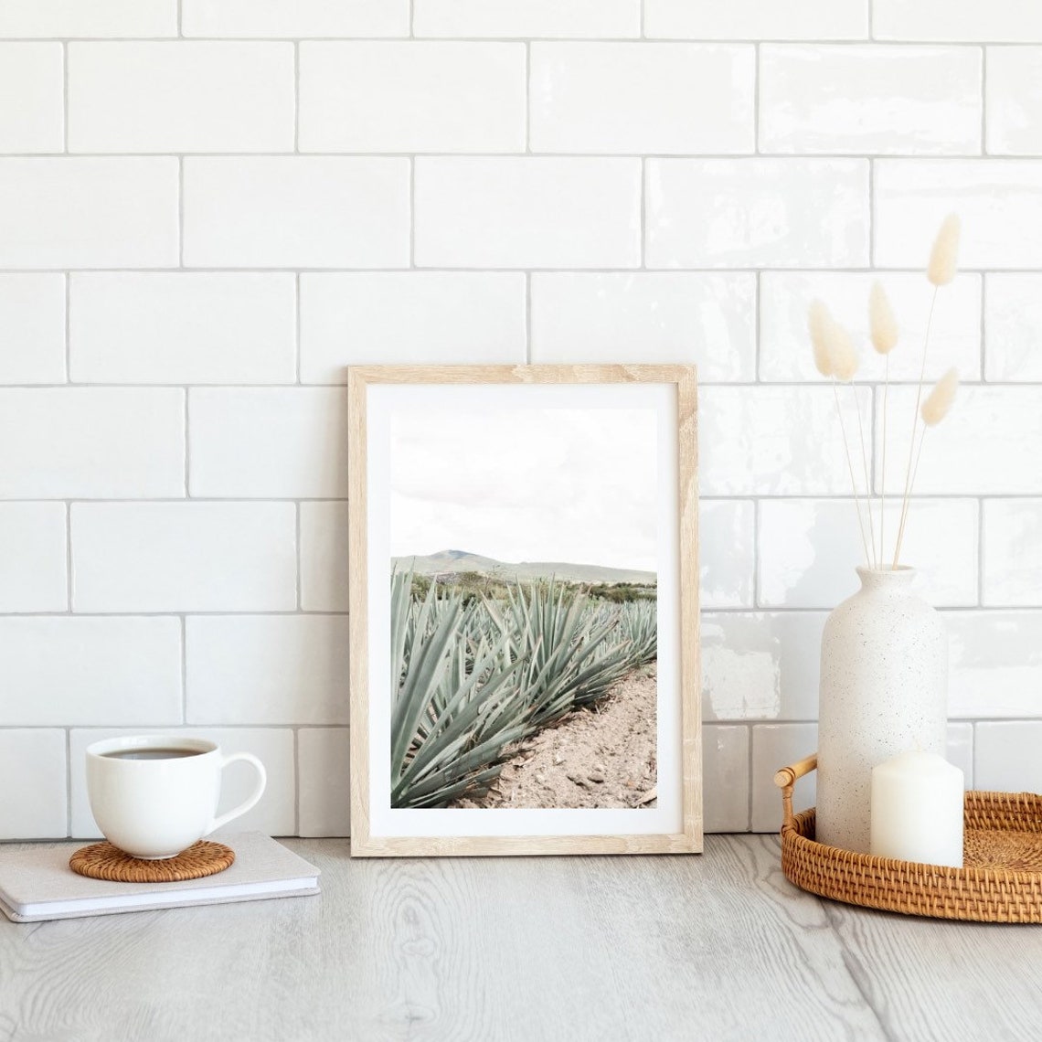 Espadín Mexican Photography Agave Plant Mezcal Mexican - Etsy