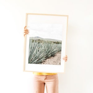 Espadín, Mexican Photography, Agave Plant, Mezcal, Mexican Folk Art ...