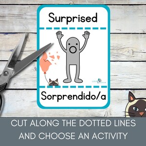 Feelings and Emotions Flashcards for Kids, English and Spanish ...