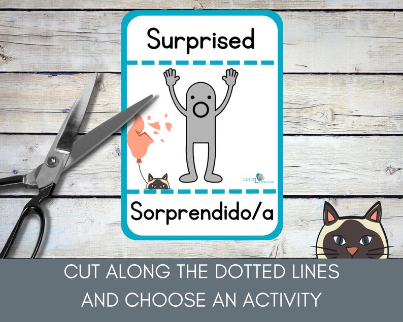 Feelings and Emotions Flashcards for Kids, English and Spanish ...