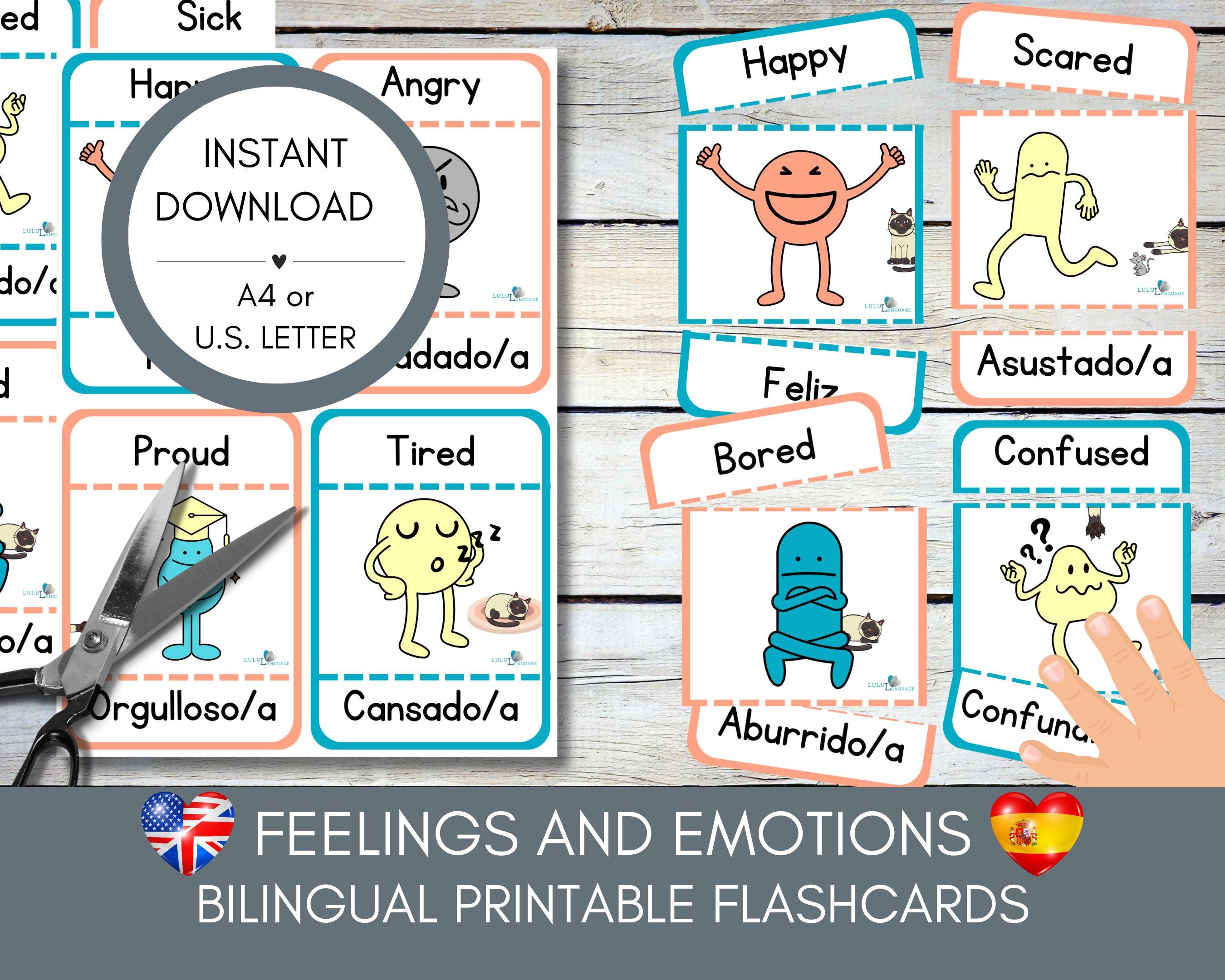 Feelings and Emotions Flashcards for Kids, English and Spanish ...